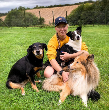 Dog Kennels in Sheffield - Broomhillfarm Luxury Dog Hotel