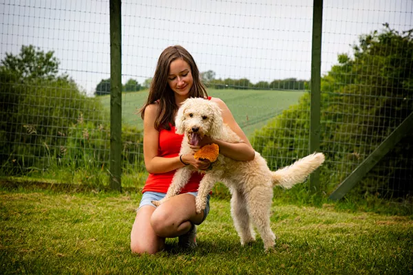Kennels Chesterfield - Broomhillfarm Luxury Dog Hotel
